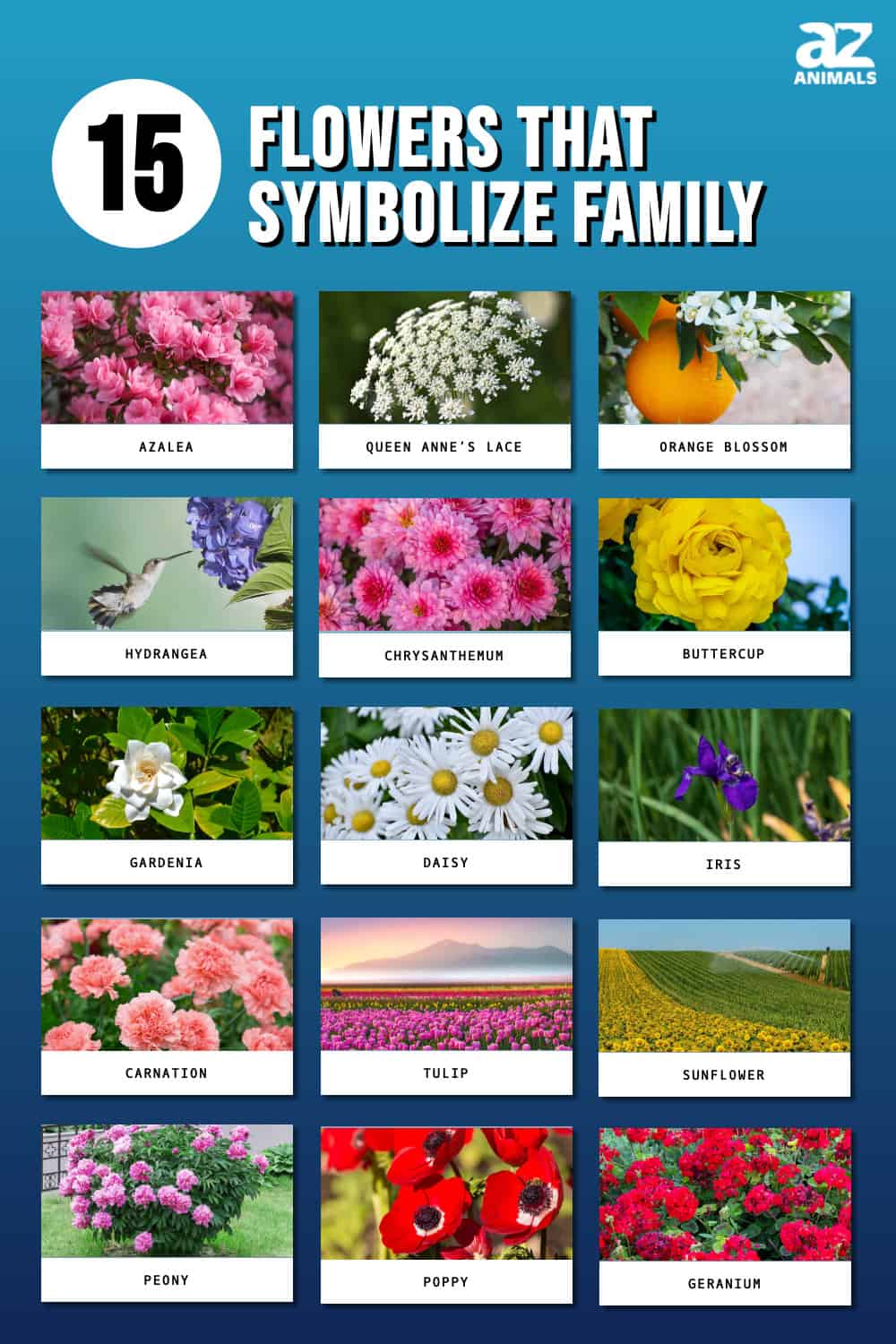 15 Flowers That Symbolize Family - A-Z Animals
