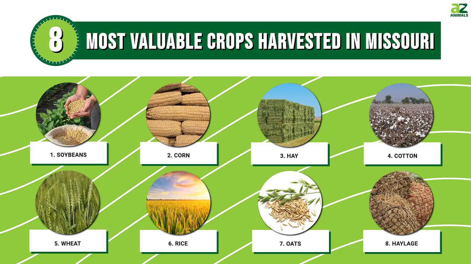 The Top 8 Most Valuable Crops Harvested in Missouri - A-Z Animals
