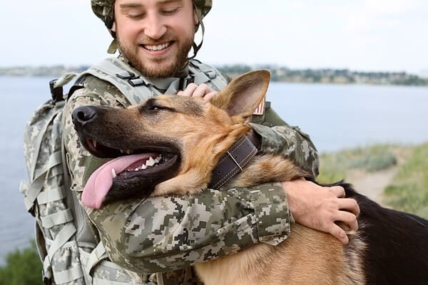 Four-Legged Heroes: Honoring the Military Working Dogs Who Serve in ...