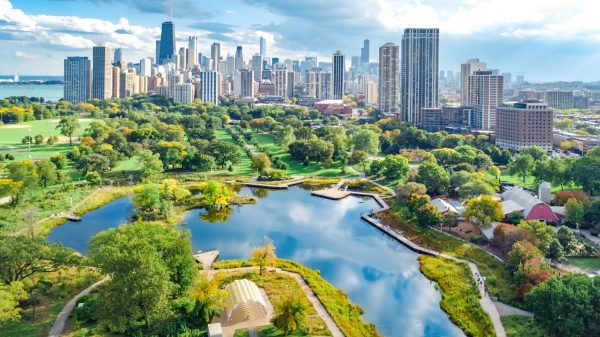 This is the Most Rat Infested City in the U.S. — a Title It's Held for ...