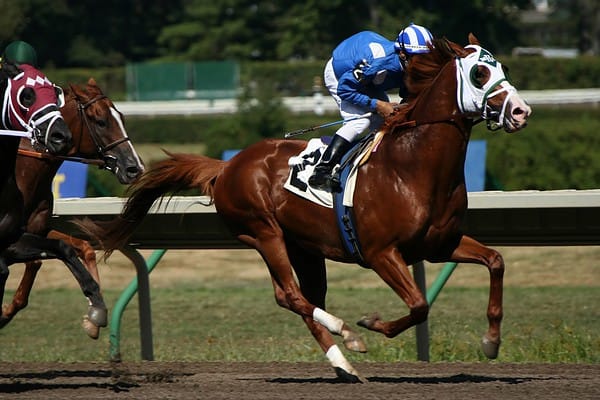 The 155 Best and Most Iconic Racehorse Names - A-Z Animals