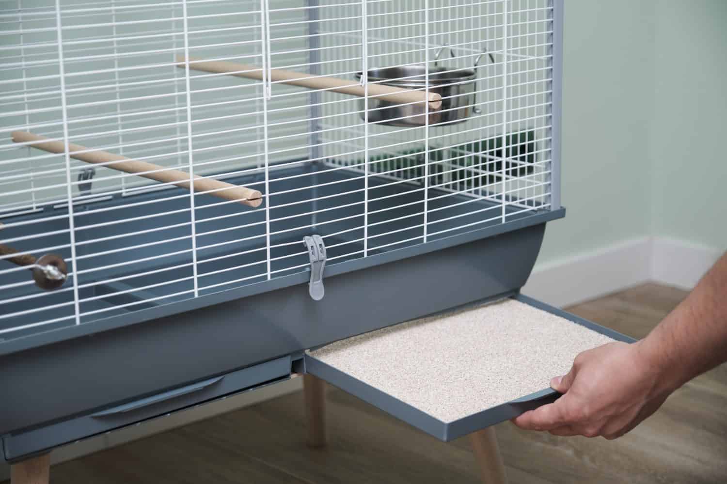 How to Clean a Bird Cage With Minimal Mess - A-Z Animals
