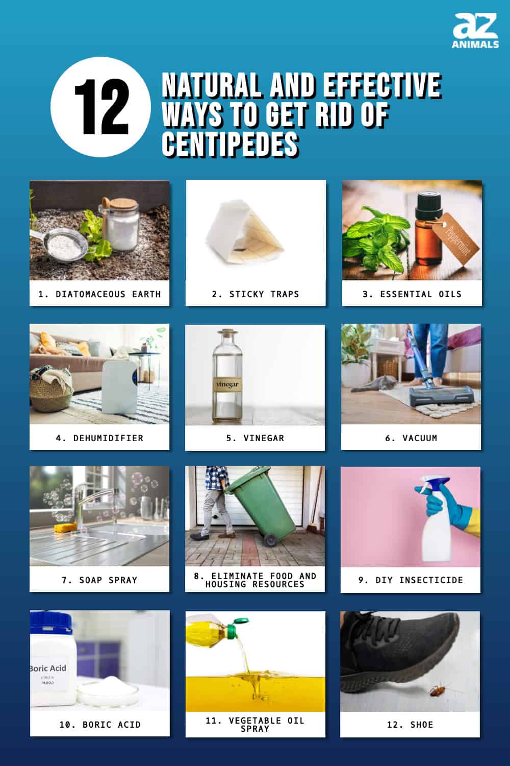 12 Natural and Effective Ways to Get Rid of Centipedes - A-Z Animals