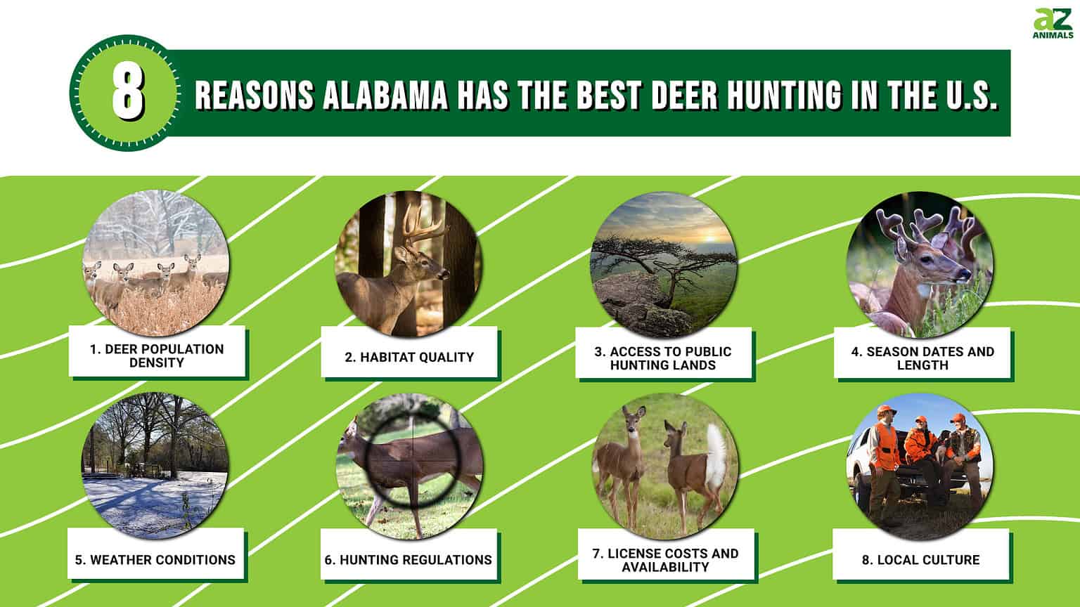 8 Reasons Alabama Has the Best Deer Hunting in the U.S. - A-Z Animals