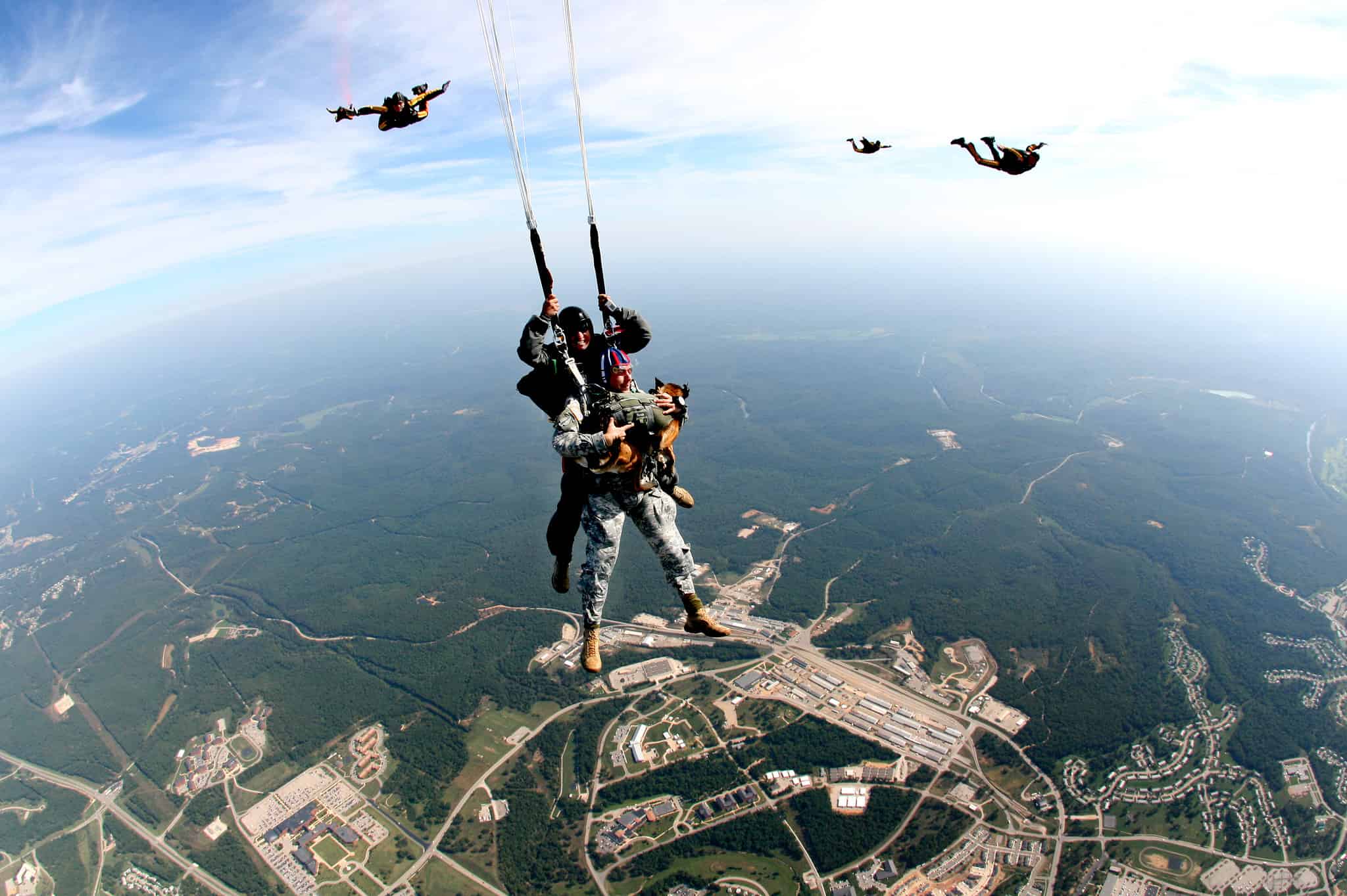 The Critical Role Dogs Play in Navy SEAL Missions - A-Z Animals