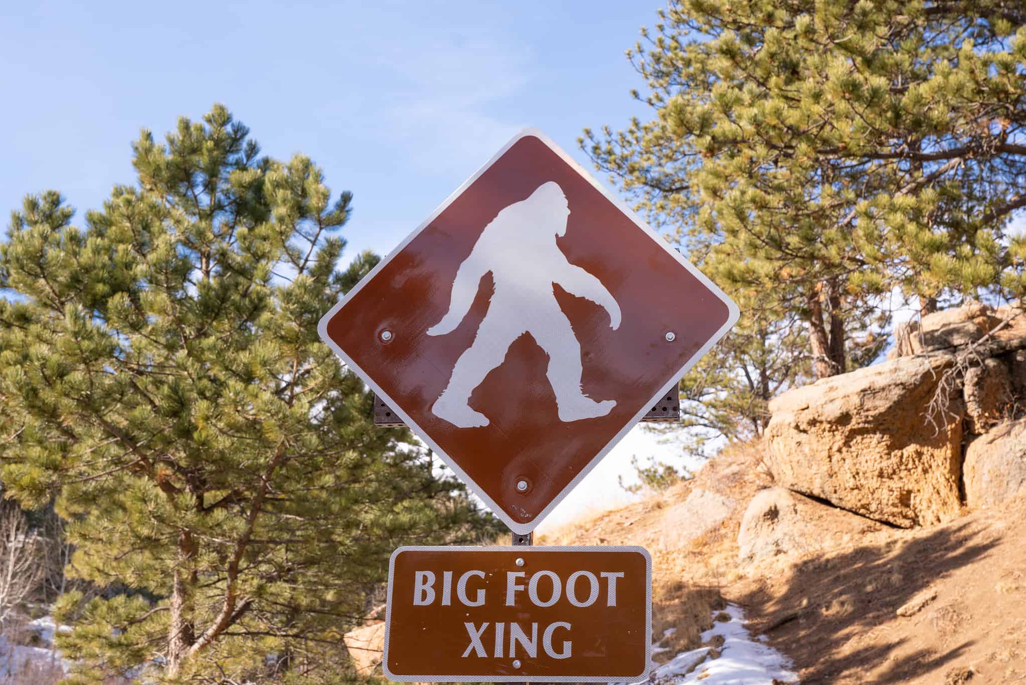 6 California Cryptids: Appearance, Behavior, and Location - A-Z Animals