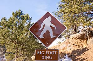 6 California Cryptids: Appearance, Behavior, and Location - A-Z Animals