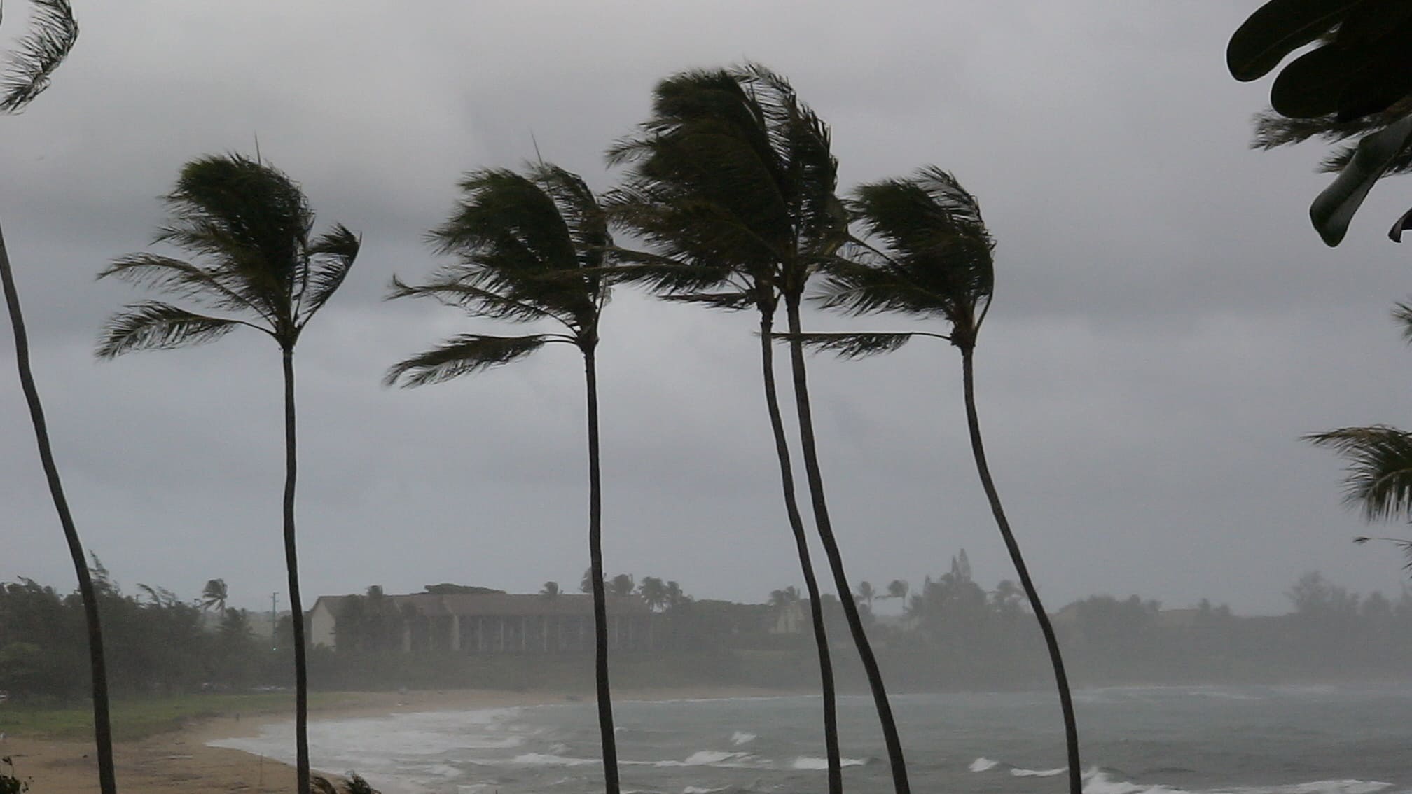 The Scariest Natural Disasters - A-Z Animals