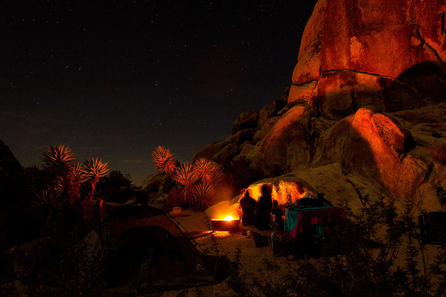 6 California Cryptids: Appearance, Behavior, and Location - A-Z Animals