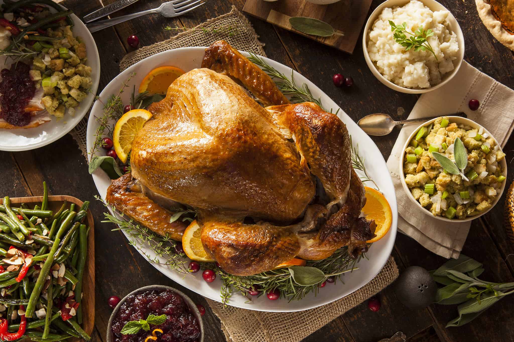 Turkey Prices in 2024: What to Expect When Buying - A-Z Animals