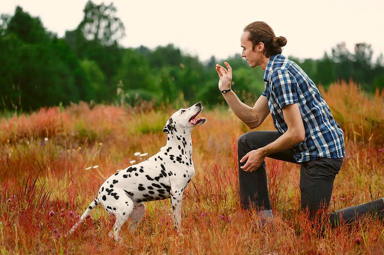 Positive Reinforcement vs. Dominance-Based Dog Training: What Science ...
