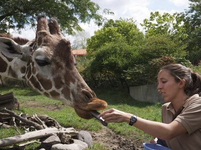 Indianapolis Zoo: Ideal Time to Go + 32 Amazing Animals to See - A-Z ...