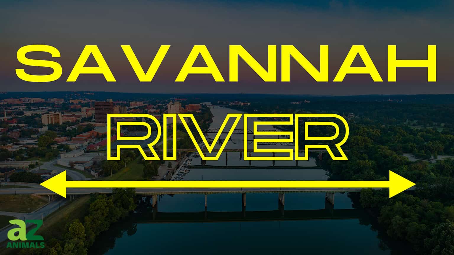 How Long Is the Savannah River From Start to End? - A-Z Animals