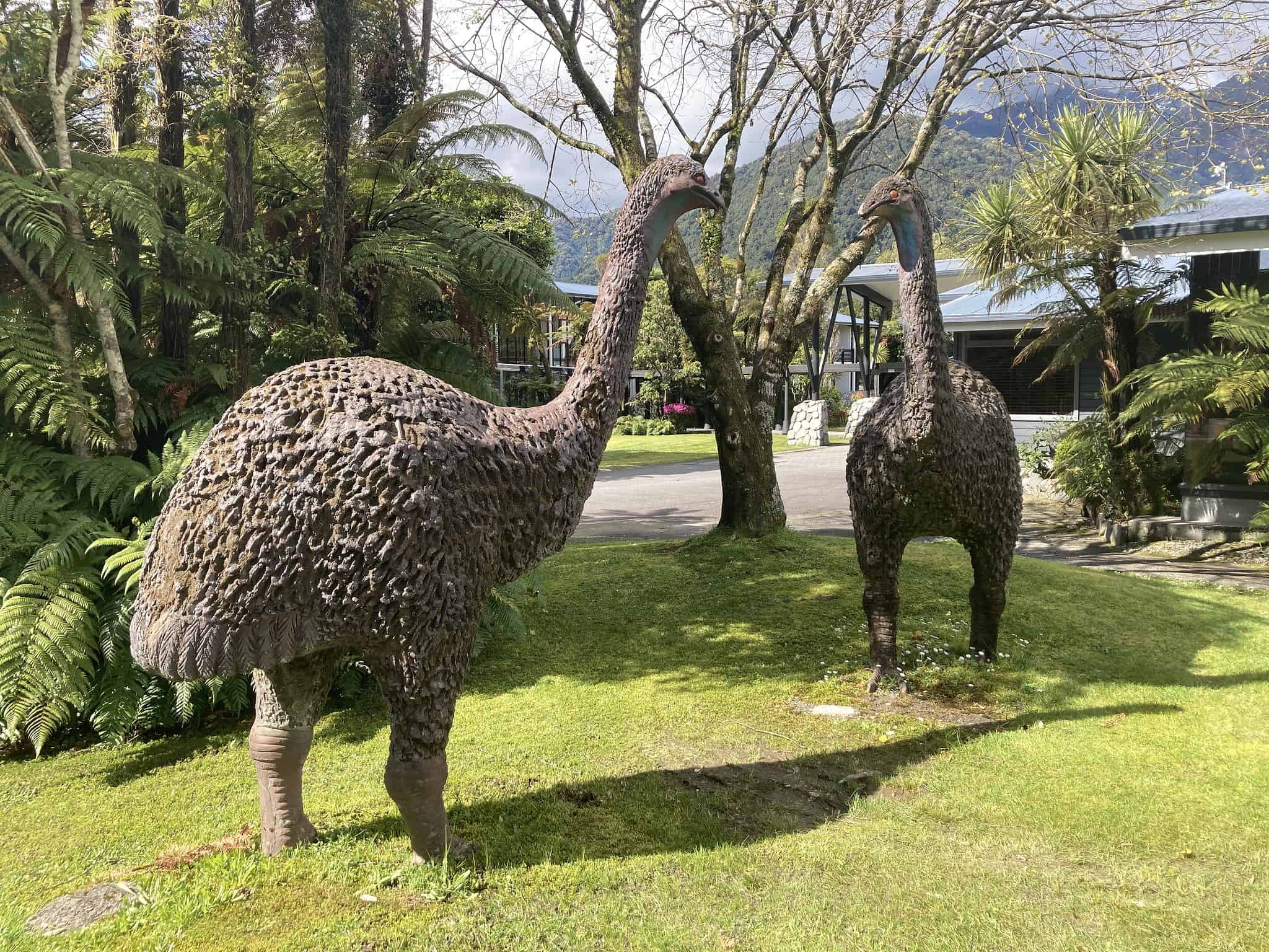 25 Extinct Bird Species the World Will Never See Again - A-Z Animals ...