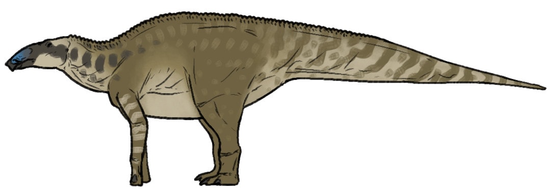 13 Incredible Dinosaurs That Start With W - A-Z Animals
