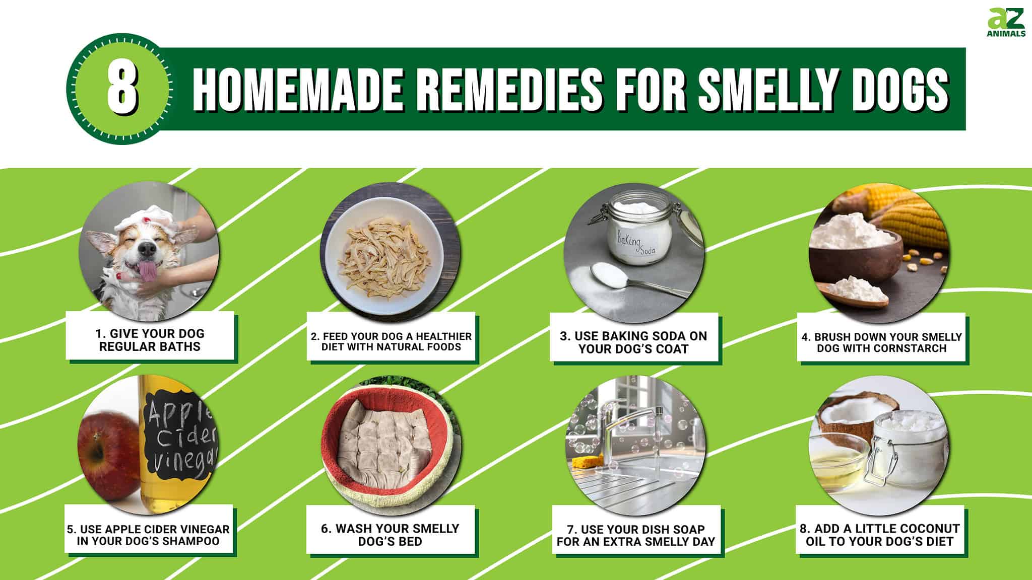 8 Homemade Remedies for Smelly Dogs - A-Z Animals