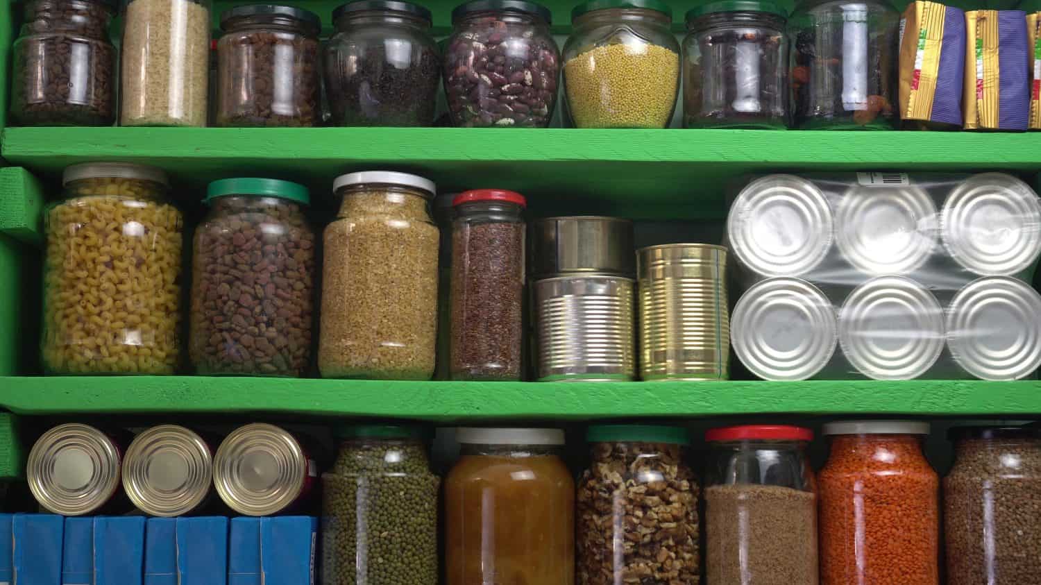 Beans, Beans...Are They Good for Your Dog? - A-Z Animals