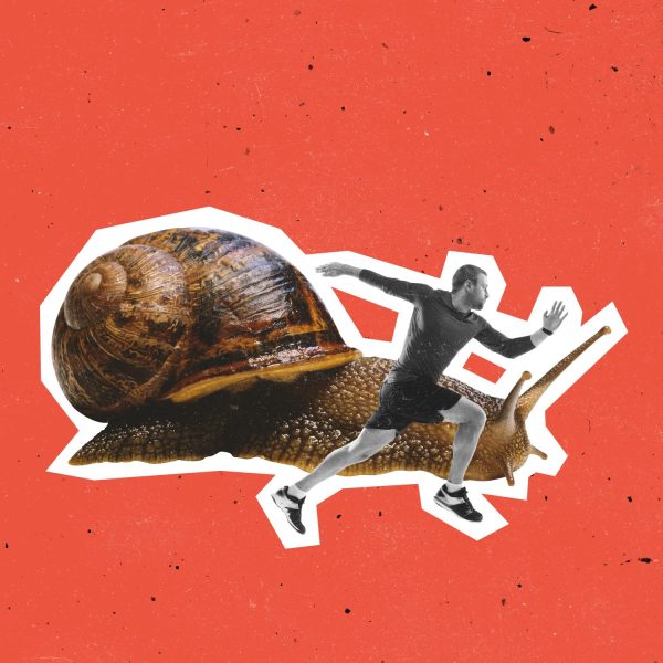 How Fast Can Snails Move? Top Speeds and How It Compares Relatively to ...