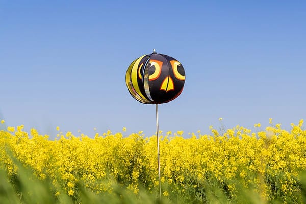 Do Scarecrows Work? How to Protect Your Garden From Hungry Birds and ...