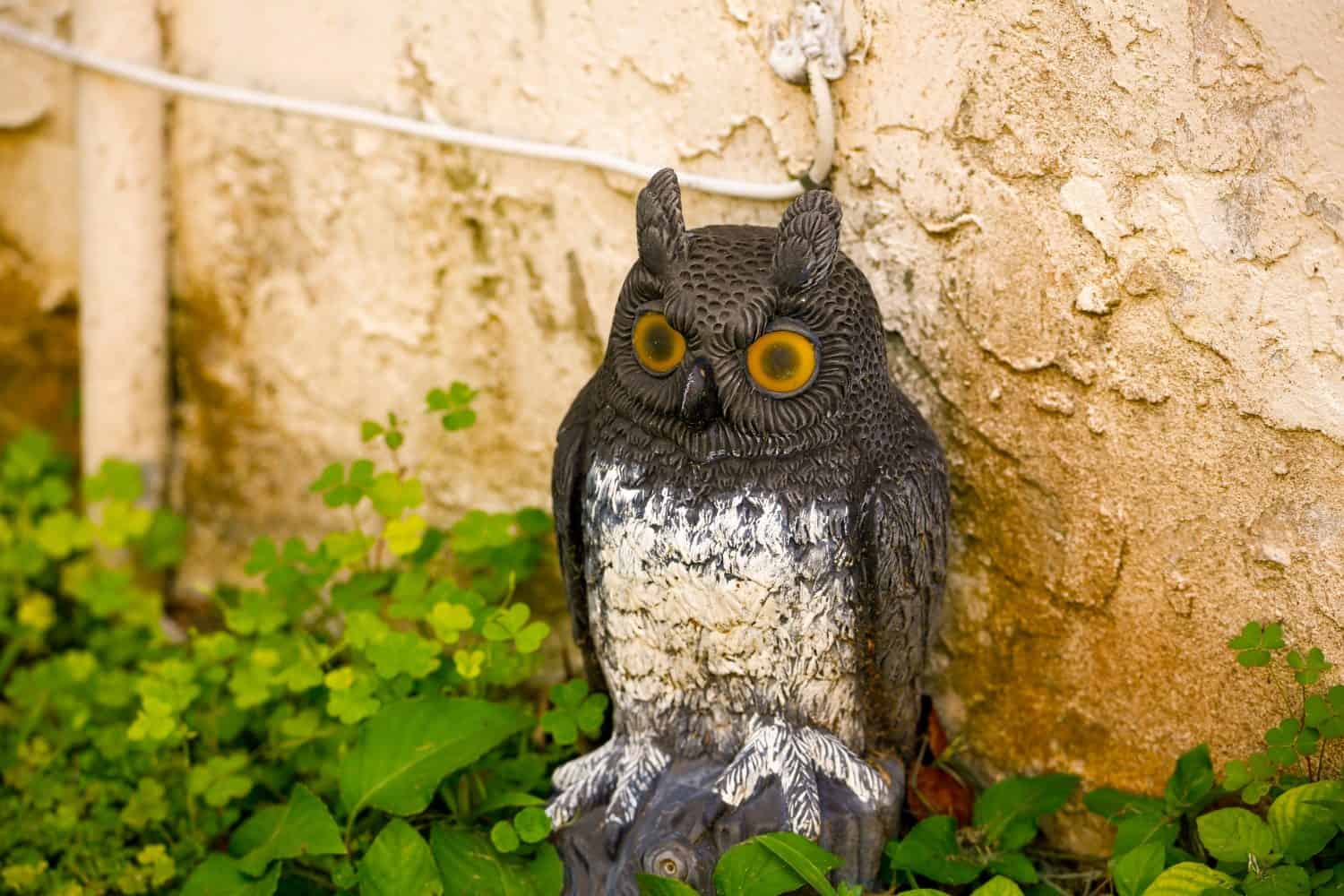 Do Scarecrows Work? How to Protect Your Garden From Hungry Birds and ...