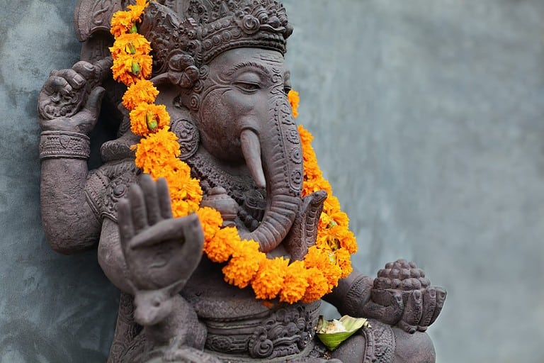 The Pink Elephant God: Who Is Ganesha in Hinduism? - A-Z Animals