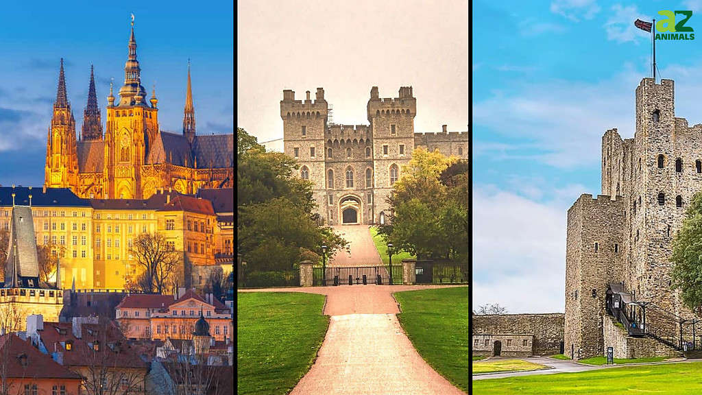 The 15 Oldest Castles In The World - A-Z Animals