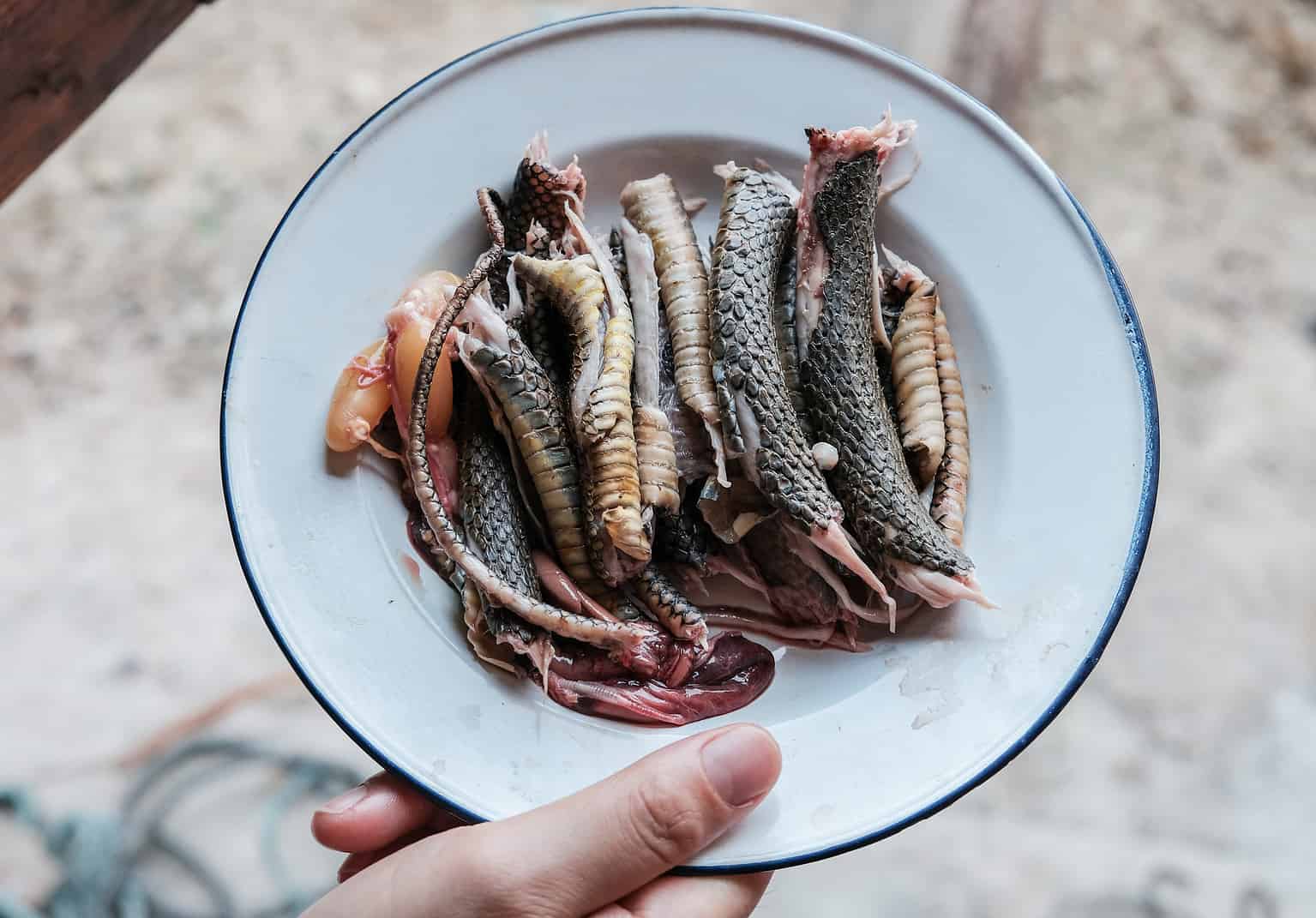 The 11 Most Sustainable Meats - A-Z Animals