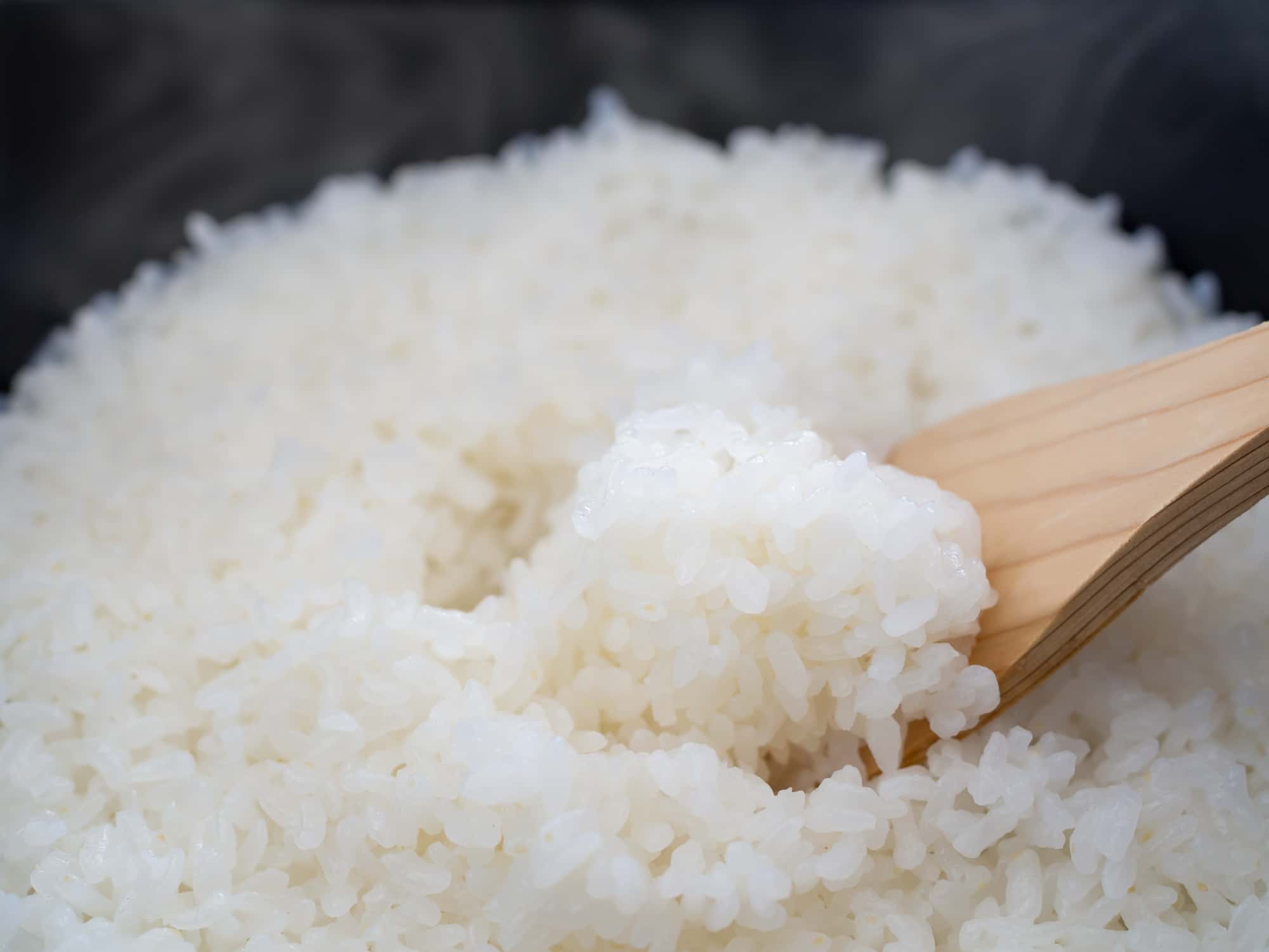 The 10 Countries That Produce the Most Rice in the World - A-Z Animals