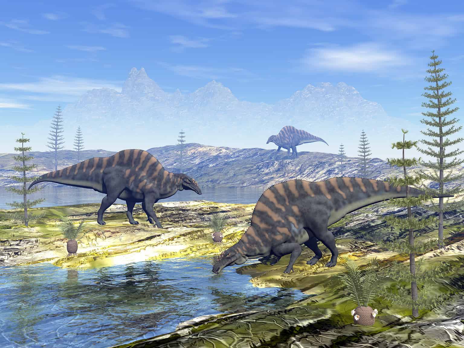 Meet the Newly Identified Predator from Triassic Times - A-Z Animals