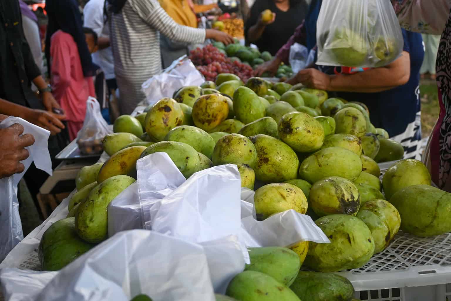 The 8 Countries That Grow the Most Mangoes in the World - A-Z Animals