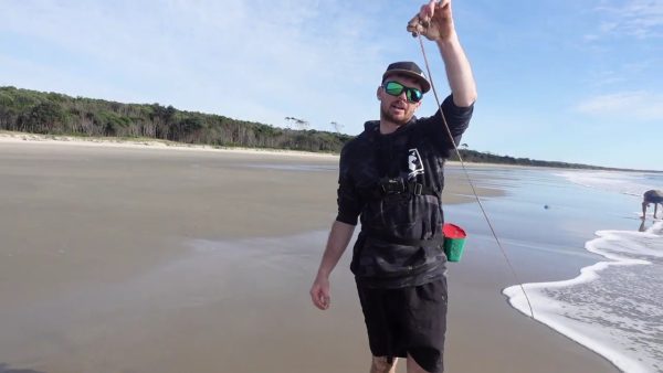 The Remarkable Beach Worms Hiding Beneath Australian Sands - A-Z Animals