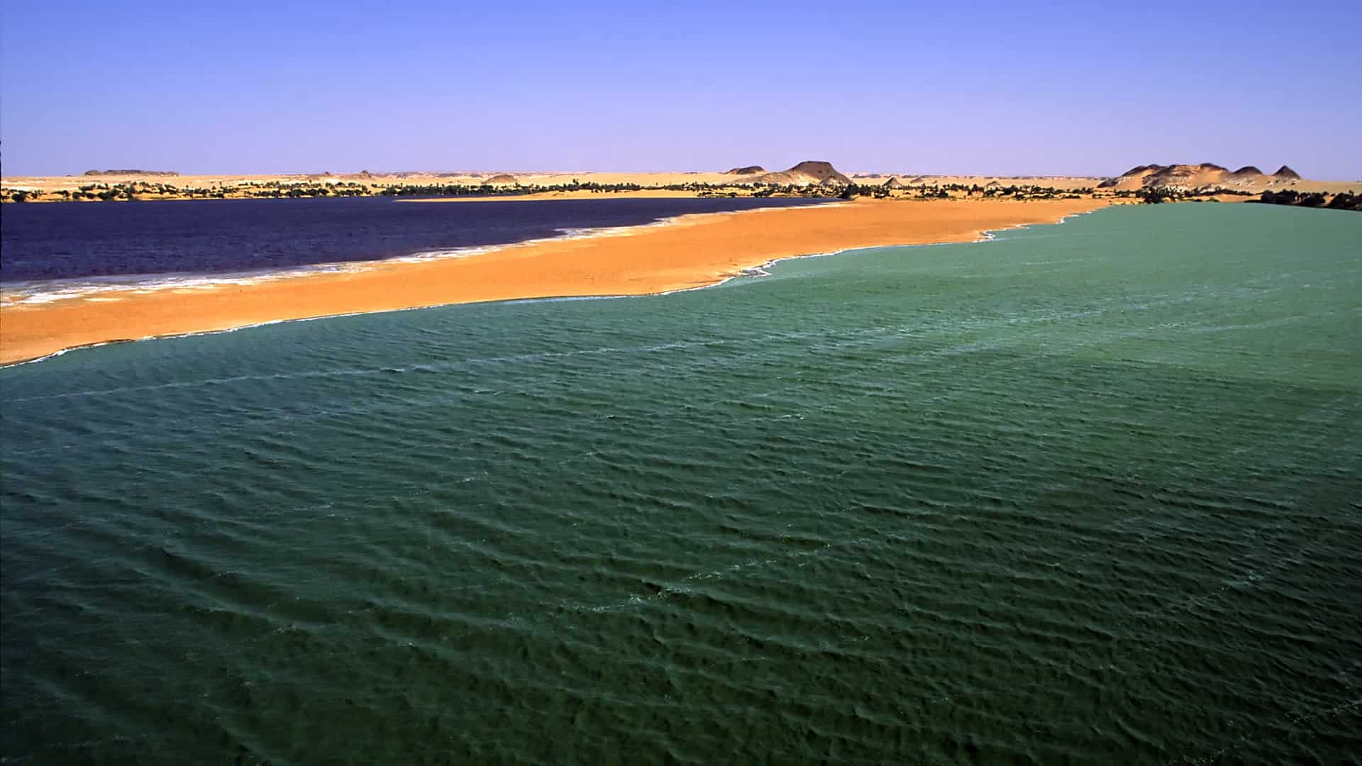 6 Lakes You Can Still Find in the Sahara Desert - A-Z Animals