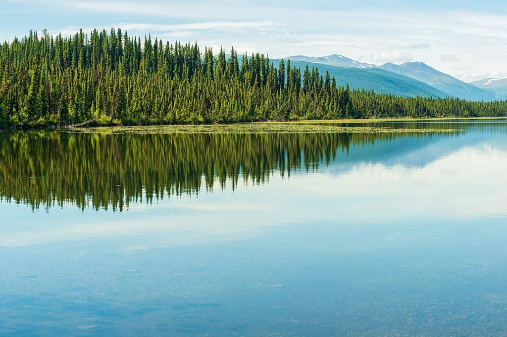 What is a Lake? 5 Features that Define a Lake - A-Z Animals