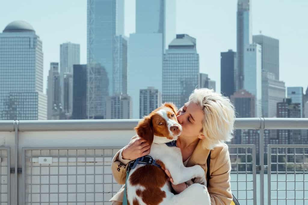 10 Animal-Related Careers That Don't Require a Doctorate - A-Z Animals