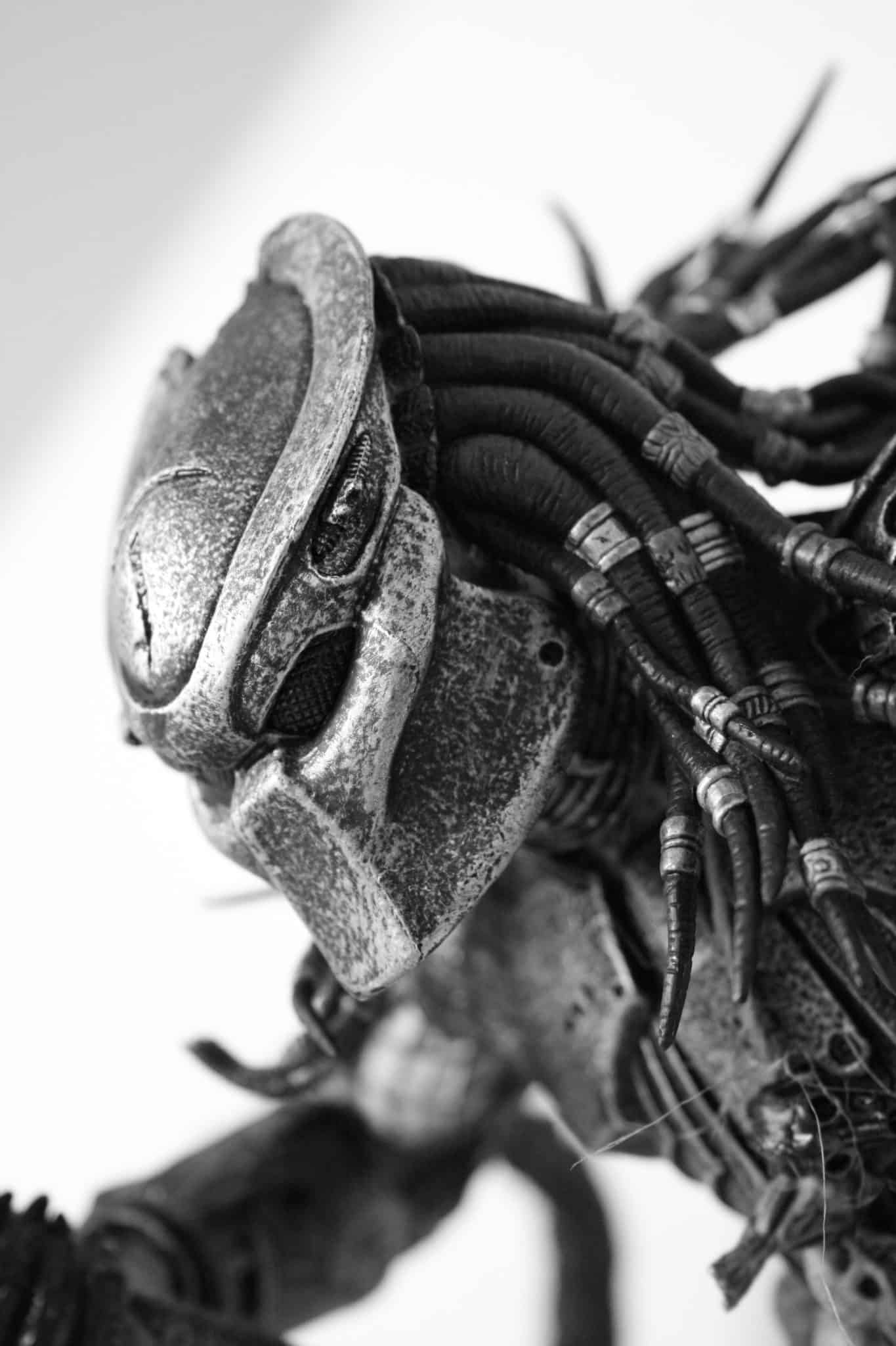 Alien vs. Predator: 10 Real-Life Animals Most Like These SciFi Villains ...