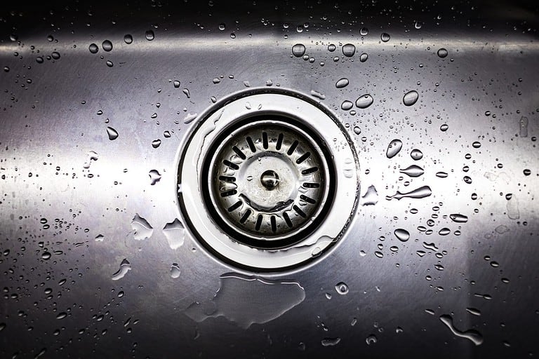 4 Reasons Slugs Are In Your House and How They're Getting In - A-Z Animals