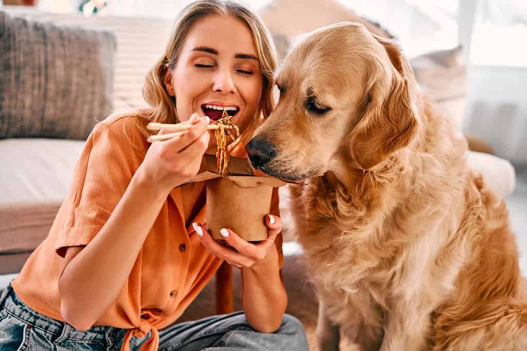 250 Amazing Chinese Dog Names and Their Meanings - A-Z Animals