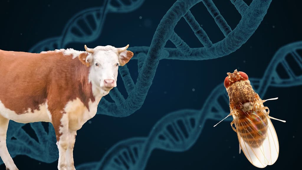 8 Animals (and Plants!) Surprisingly Genetically Related to Humans - A ...