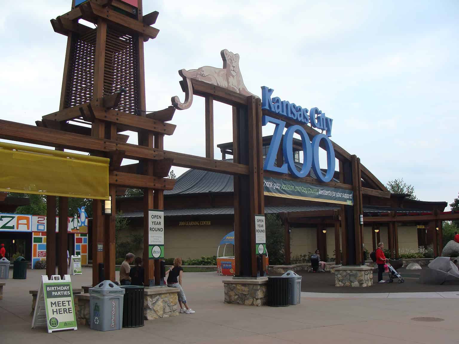 Discover 20 Amazing Zoos with Polar Bears