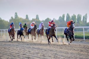 The 15 Most Famous Race Horses Throughout History - A-Z Animals