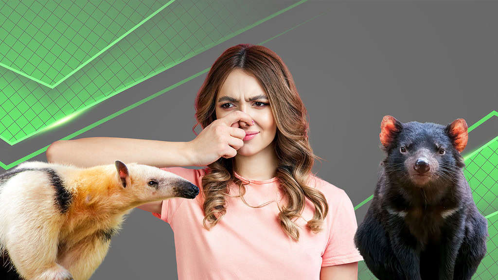 The 10 Smelliest Animals in the World - A-Z Animals