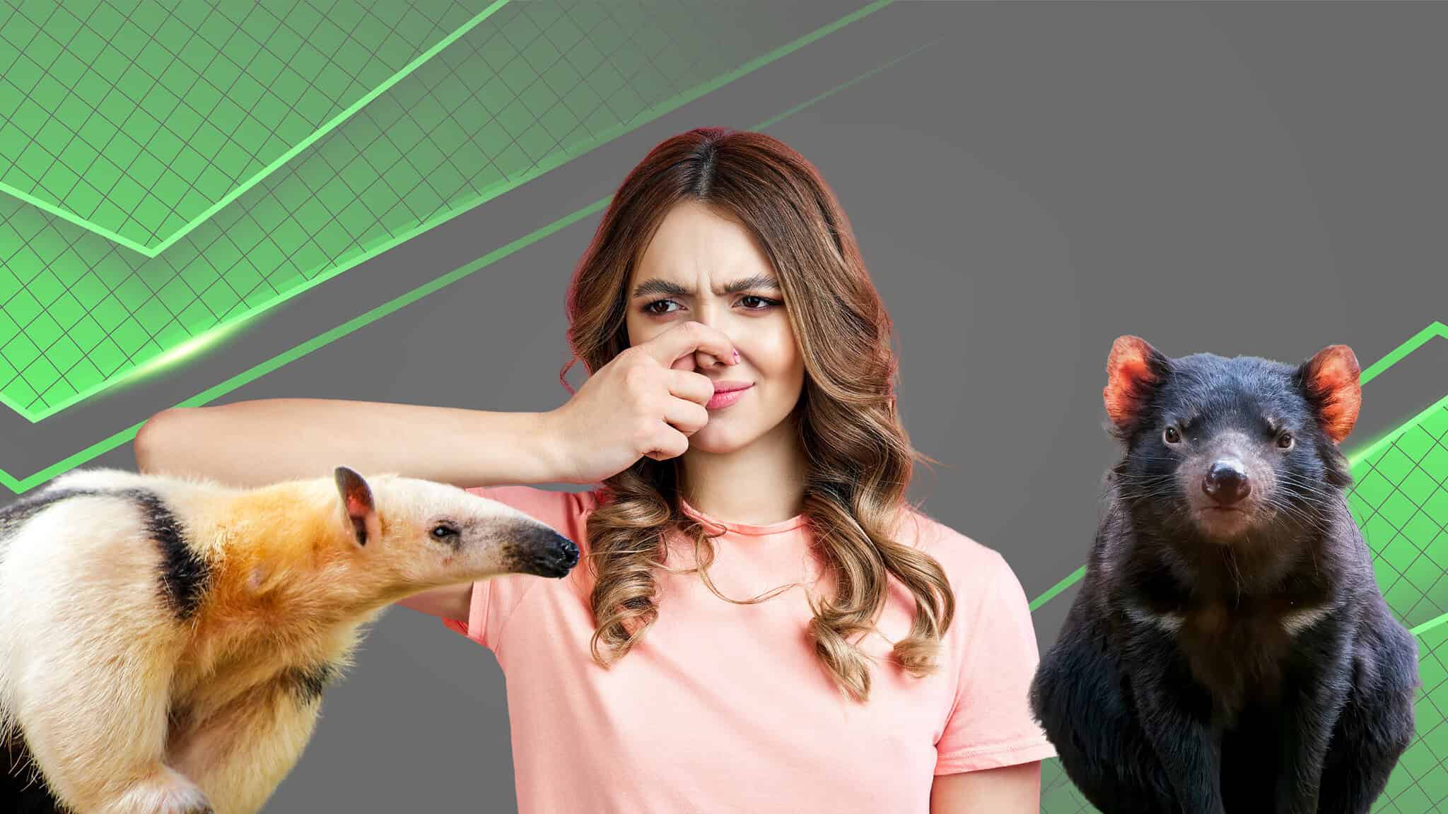 The 10 Smelliest Animals in the World - A-Z Animals