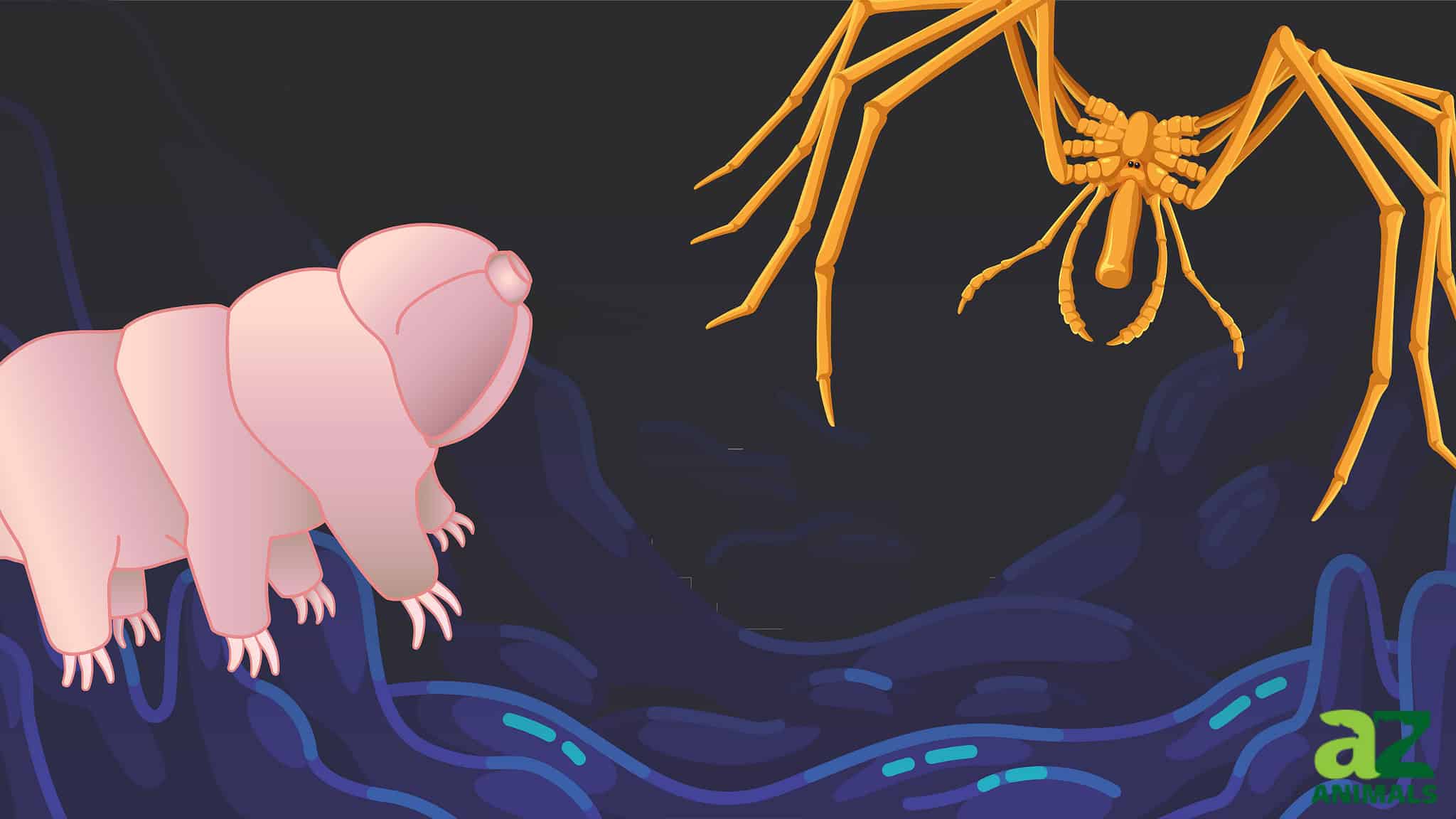 10 Deep Sea Creatures: Discover the Rarest Scariest Animals Beneath the ...