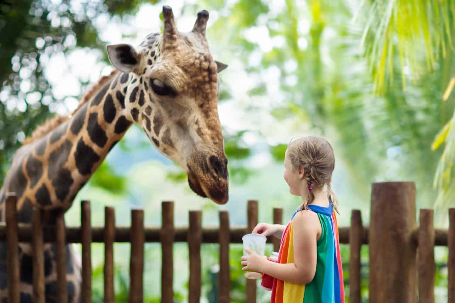 8 Largest Zoos in the World in 2024 - A-Z Animals