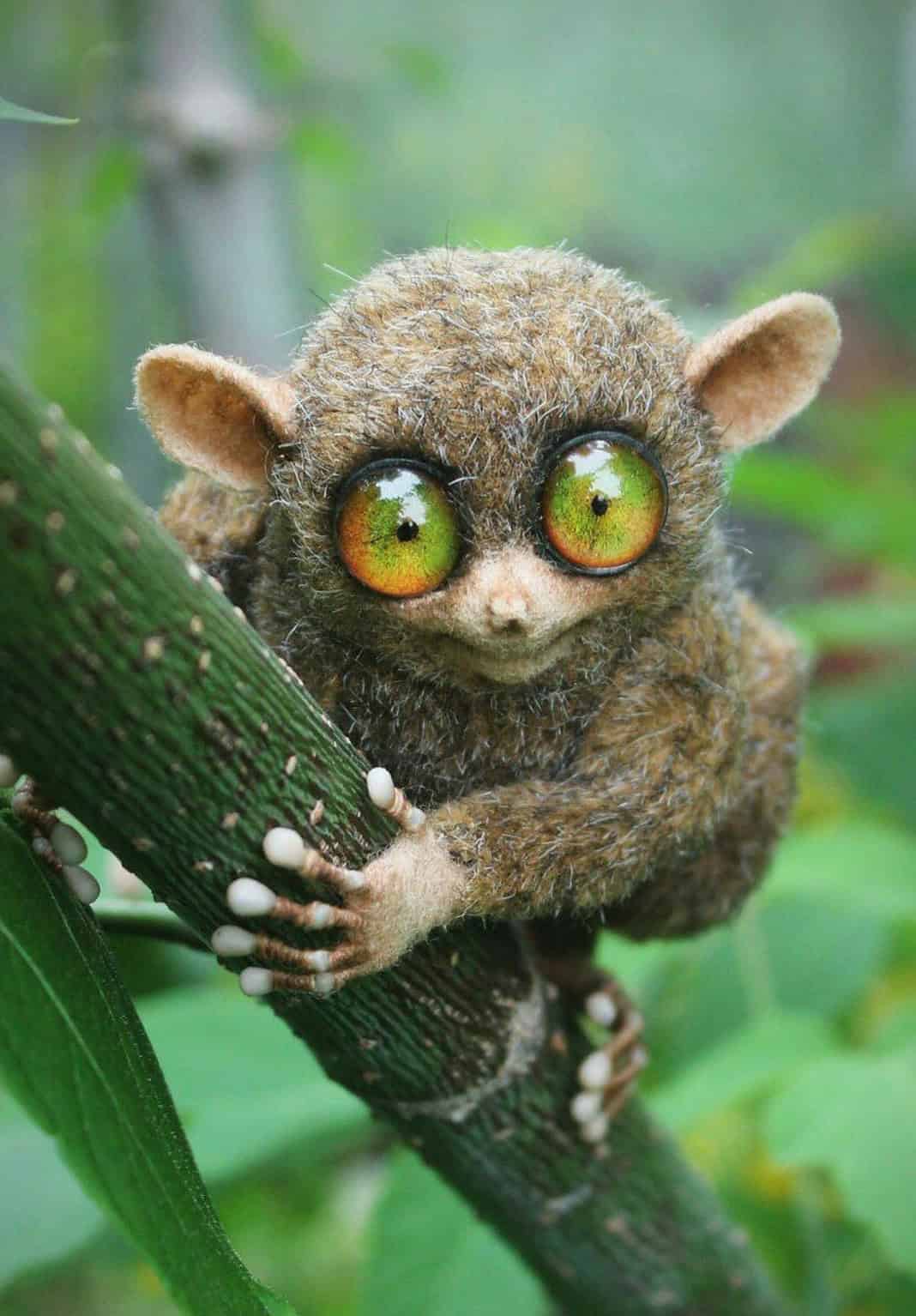10 Real-Life Animals That Inspired Star Wars Species - A-Z Animals