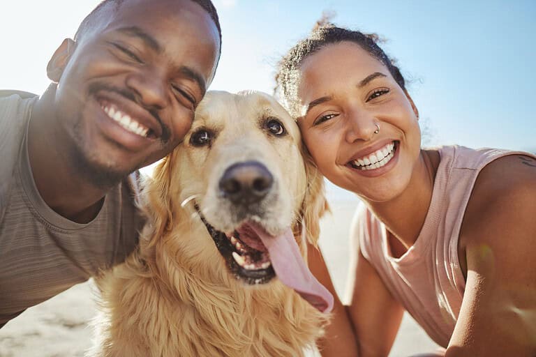 Why Dogs Are So Loyal to Humans - A-Z Animals