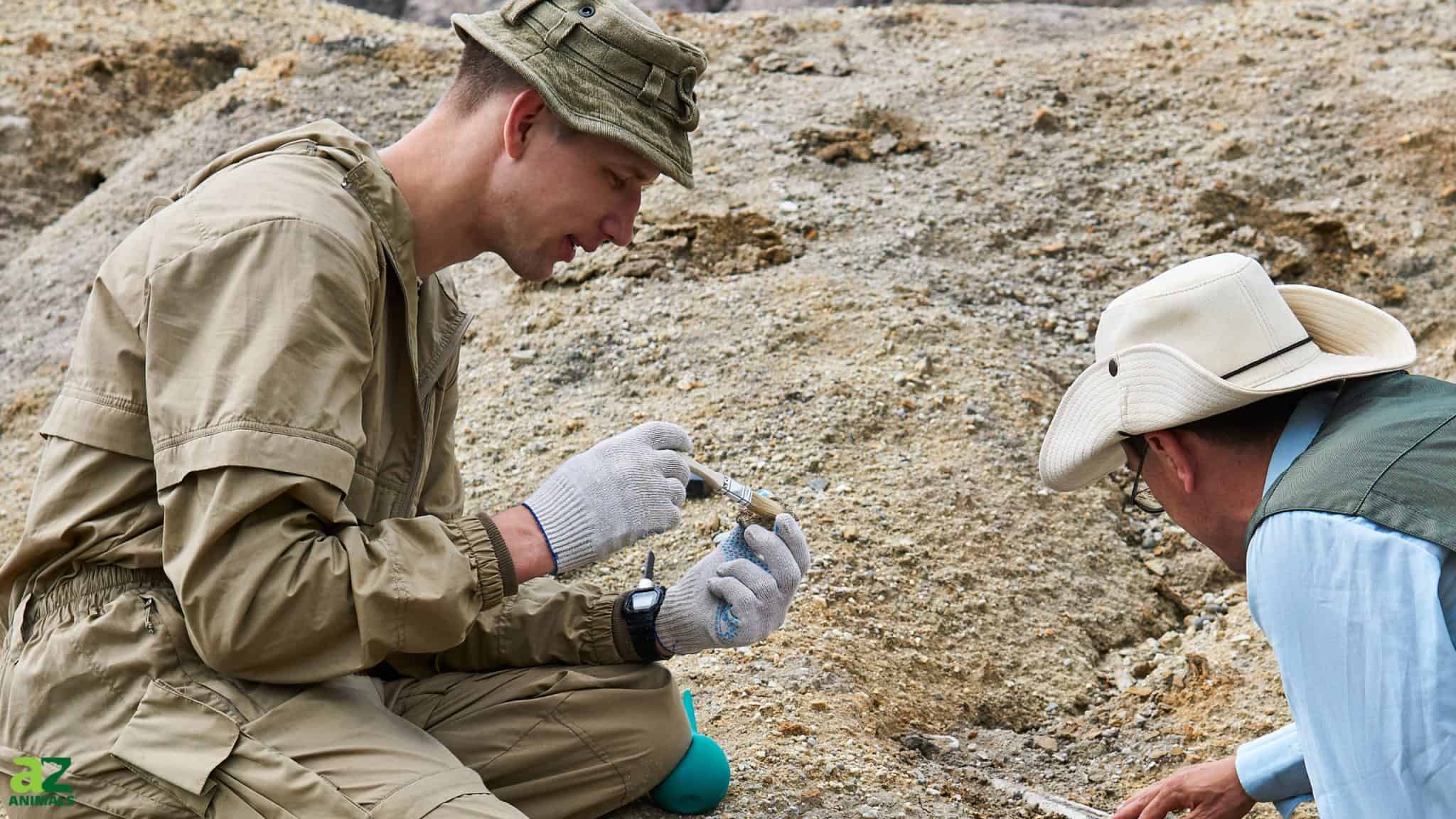 The Largest Lemur Ever Was the Size of a Silverback Gorilla - A-Z ...