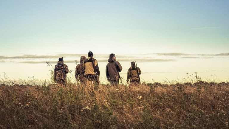 Idaho’s Deer Rut Season: When It Happens and How to Watch - A-Z Animals