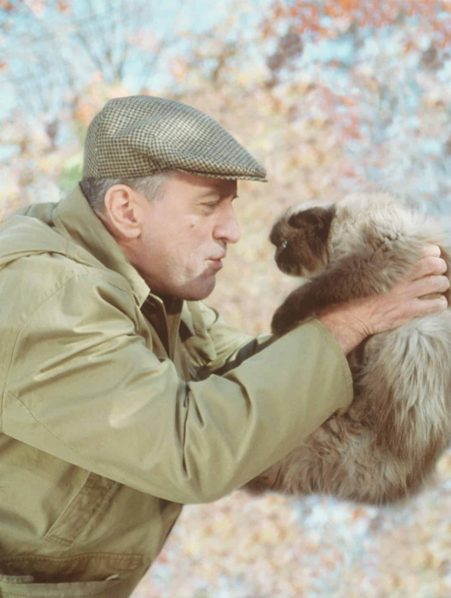 10 Famous Cats (Real and Fictional!) - A-Z Animals