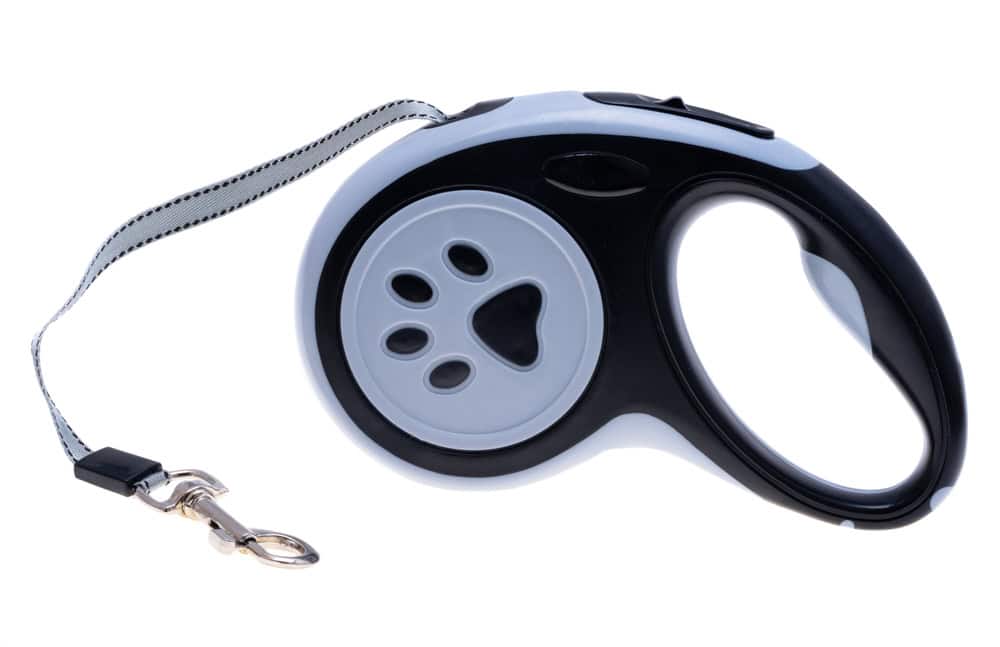 4 Reasons to Buy a Retractable Leash For Your Dog - A-Z Animals